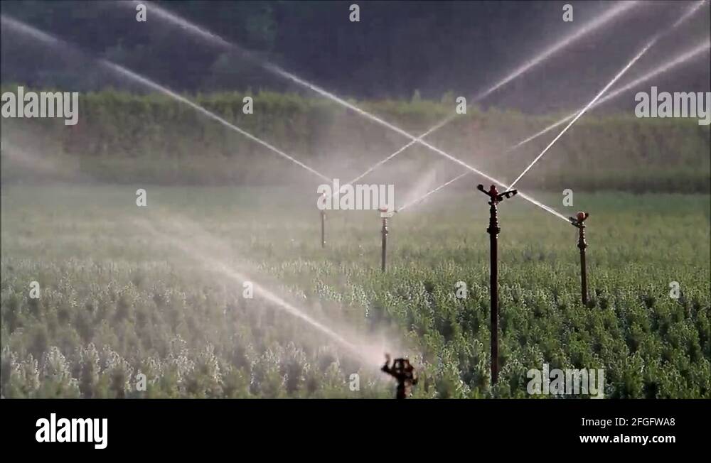 Water protection system Stock Videos & Footage - HD and 4K Video Clips ...