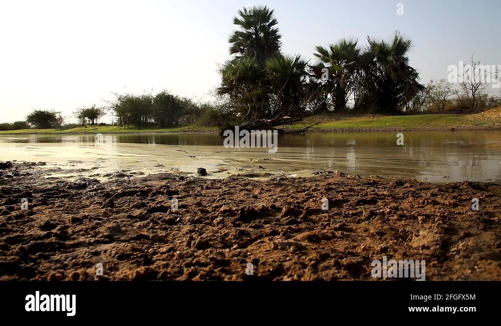 Geba river Stock Videos & Footage - HD and 4K Video Clips - Alamy
