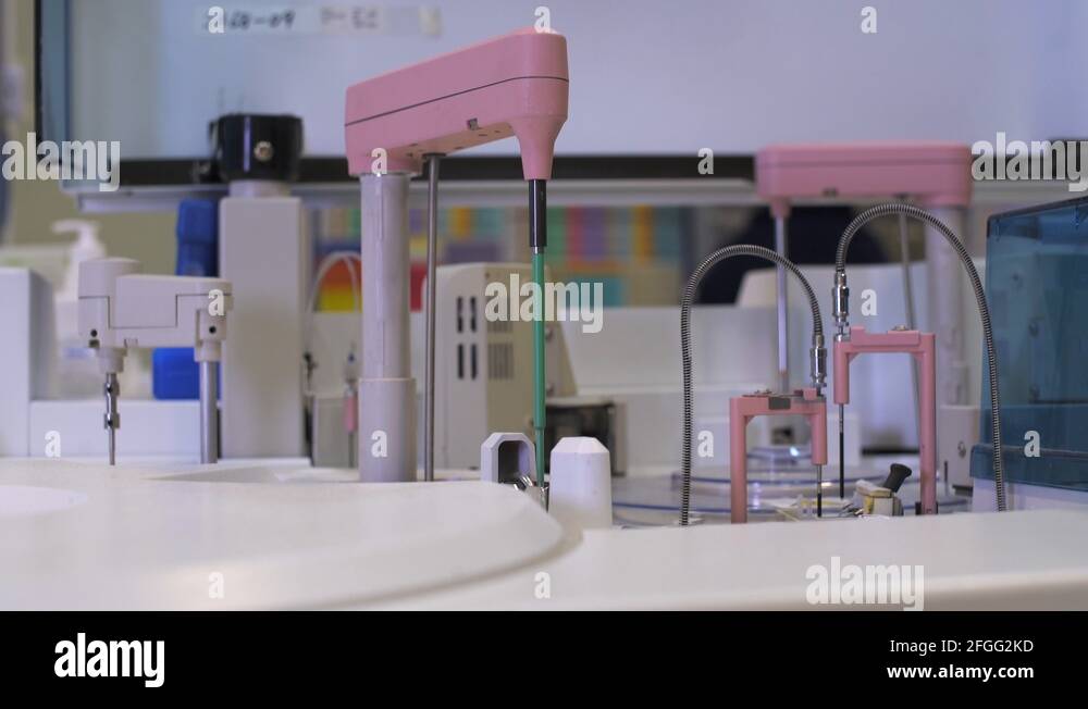 Pathology specimens Stock Videos & Footage - HD and 4K Video Clips - Alamy