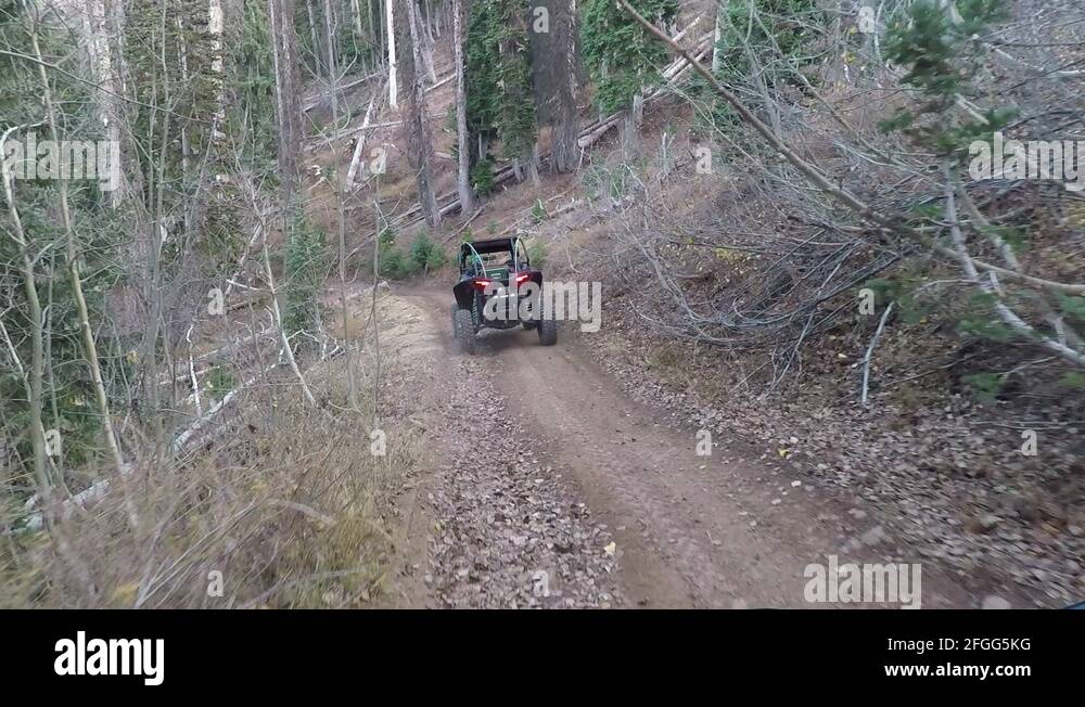 Deer mountain trail Stock Videos & Footage - HD and 4K Video Clips - Alamy