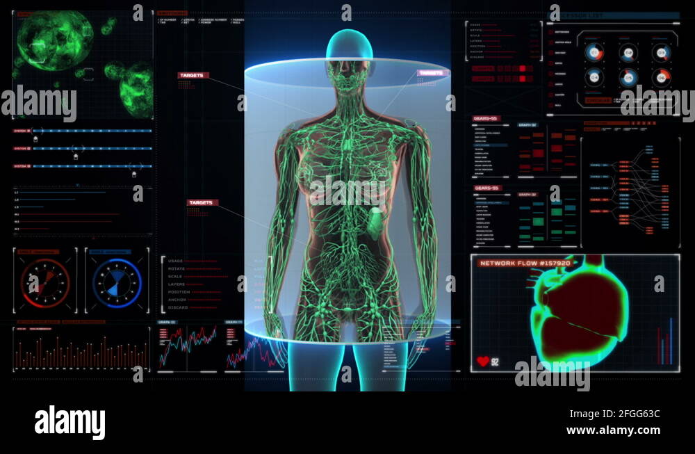 Female Human body scanning lymphatic system in digital display ...