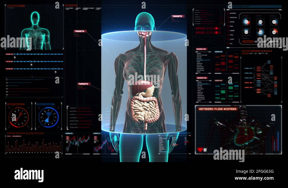 Internal interface Stock Videos & Footage - HD and 4K Video Clips - Alamy