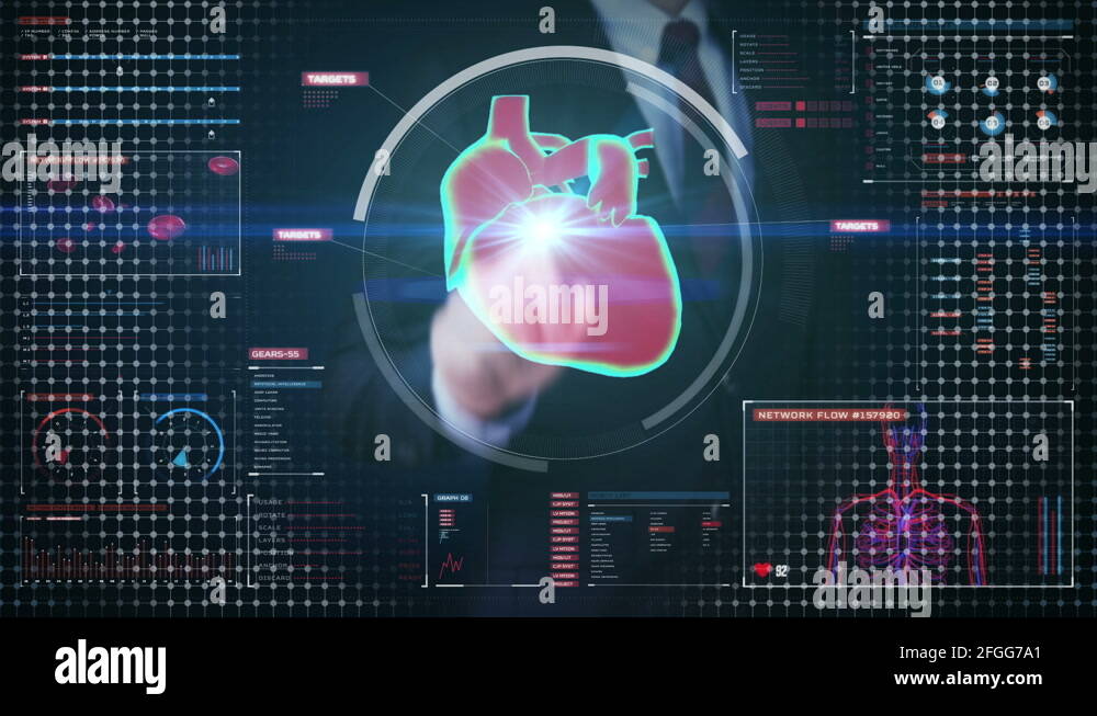 Cardiovascular system Stock Videos & Footage - HD and 4K Video Clips ...