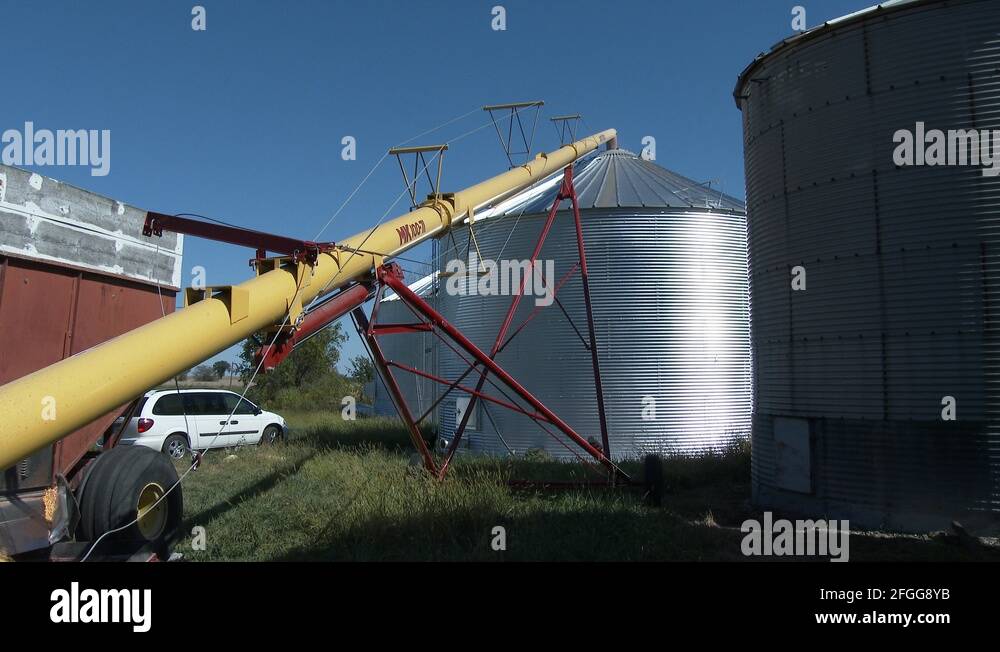 Auger corn Stock Videos & Footage - HD and 4K Video Clips - Alamy
