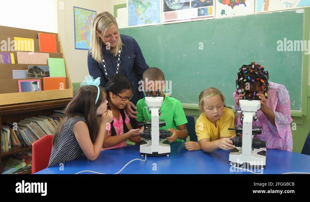 Microscopes classroom Stock Videos & Footage - HD and 4K Video Clips ...