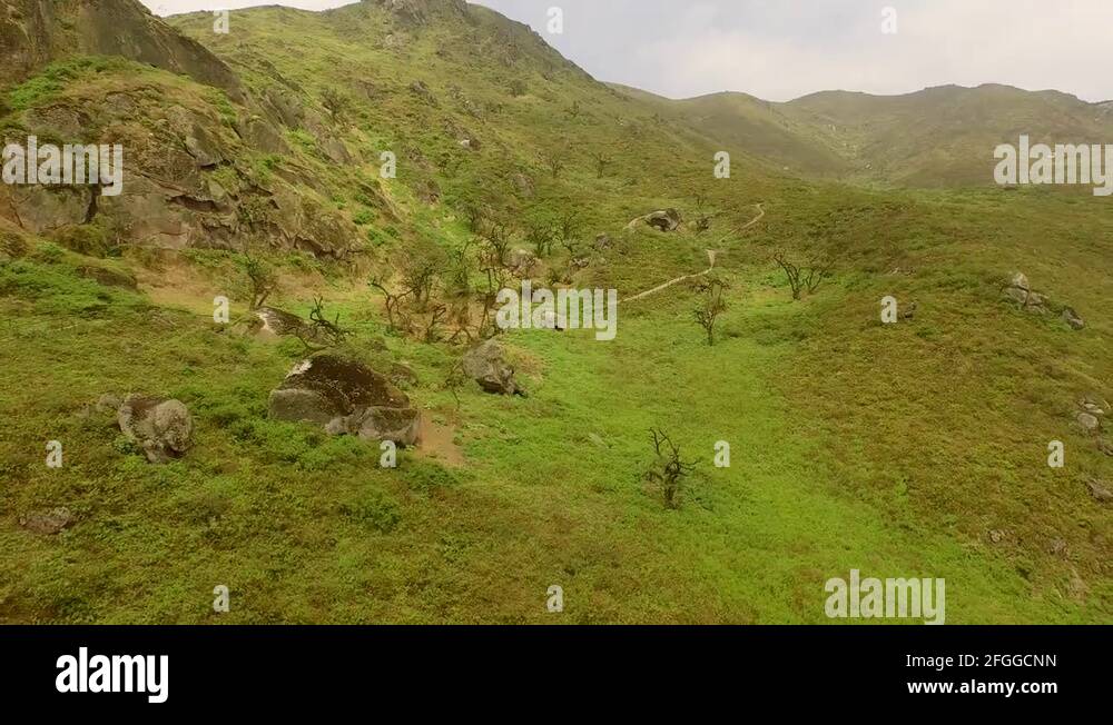 Desert ecosystem nature Stock Videos & Footage - HD and 4K Video Clips ...