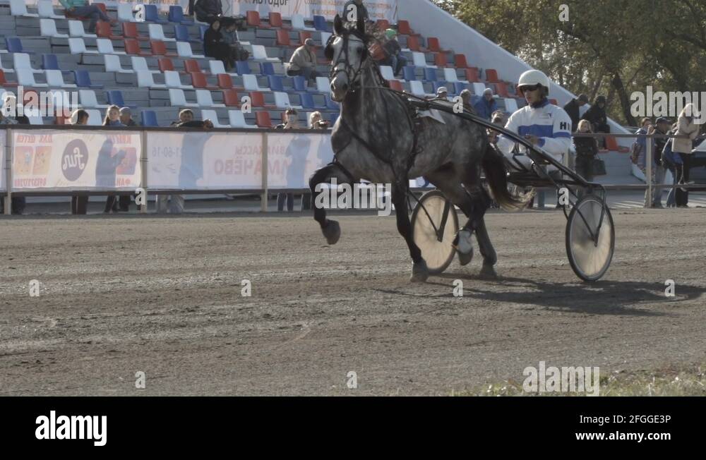 Jockey horse finish Stock Videos & Footage - HD and 4K Video Clips - Alamy