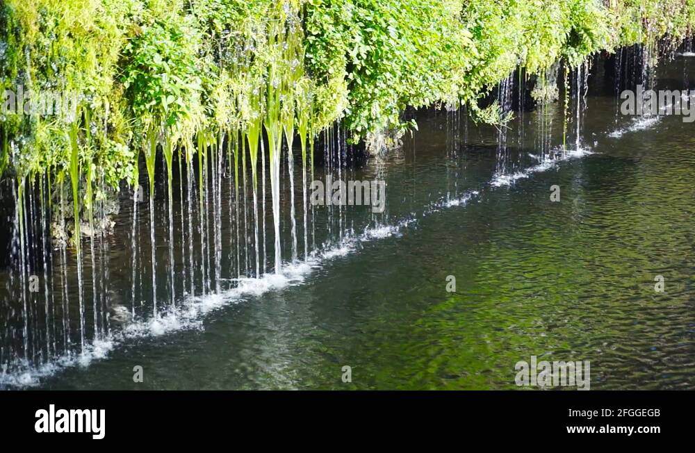 Water flowing over grass Stock Videos & Footage - HD and 4K Video Clips ...