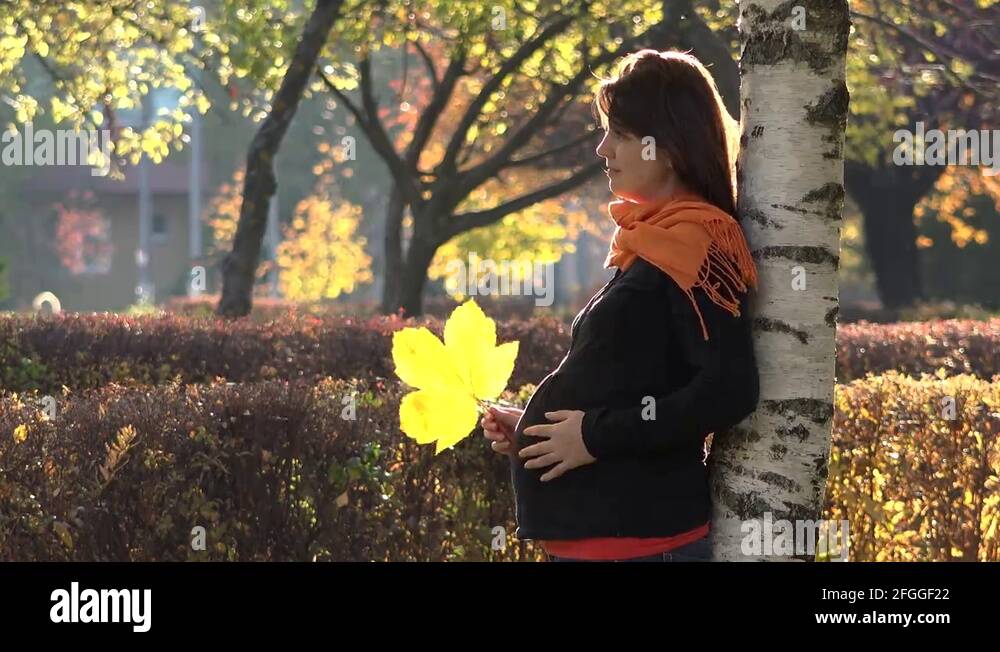 Belly leaf Stock Videos & Footage - HD and 4K Video Clips - Alamy