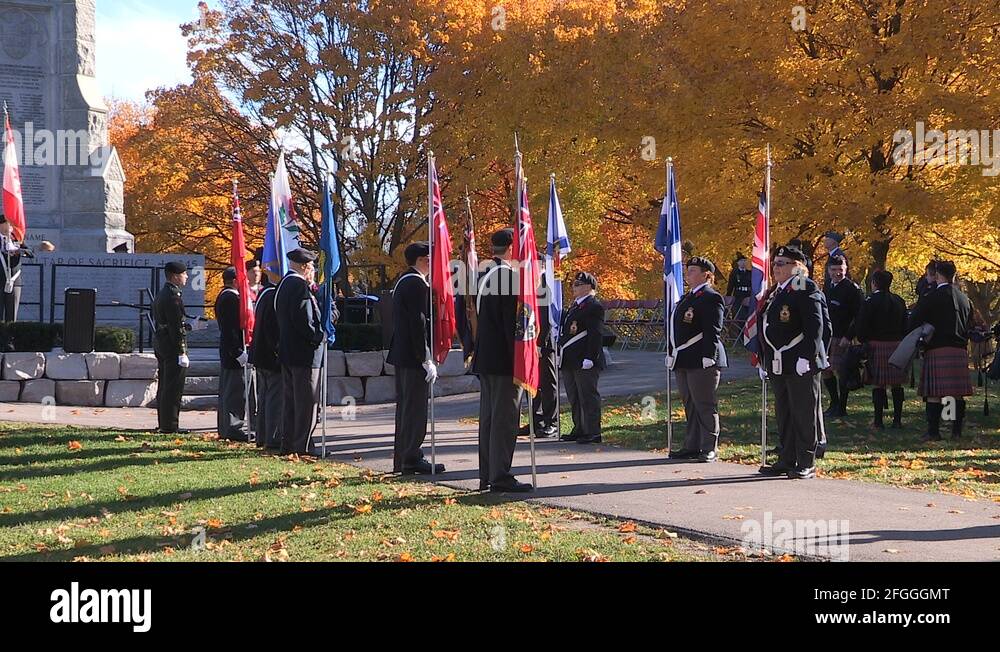 Remembrance day veterans Stock Videos & Footage - HD and 4K Video Clips ...