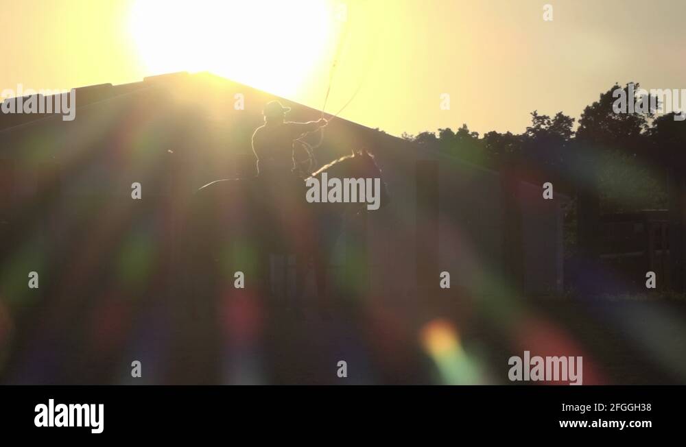 Horse with lasso Stock Videos & Footage - HD and 4K Video Clips - Alamy