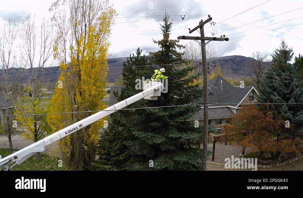 Trimming tree lift arm Stock Videos & Footage - HD and 4K Video Clips ...