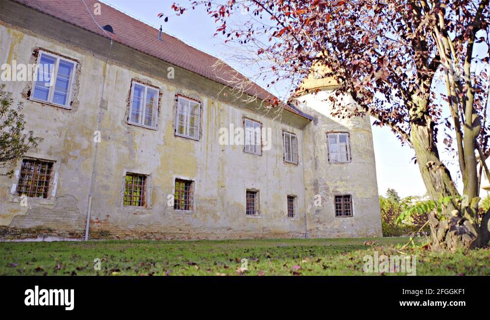 Sliding from behind a tree with castle in background 4K Stock Video ...