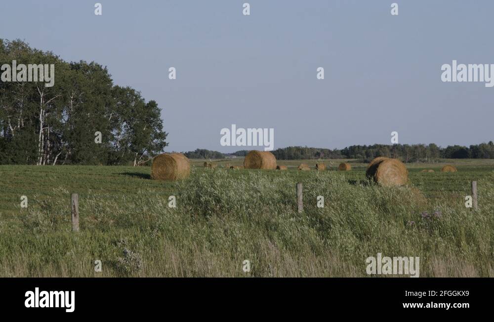 Hay fences Stock Videos & Footage - HD and 4K Video Clips - Alamy