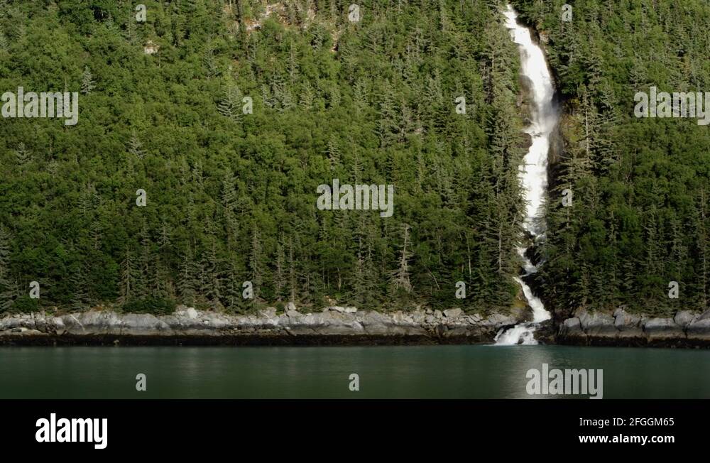 Thick forest and waterfall Stock Videos & Footage - HD and 4K Video ...