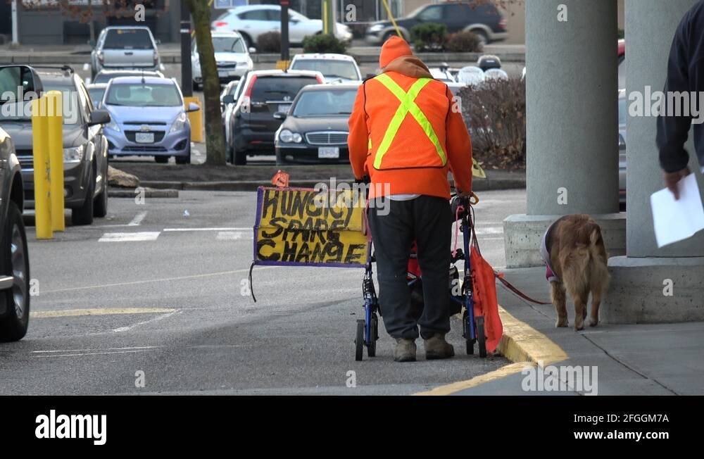 Poverty dog Stock Videos & Footage - HD and 4K Video Clips - Alamy