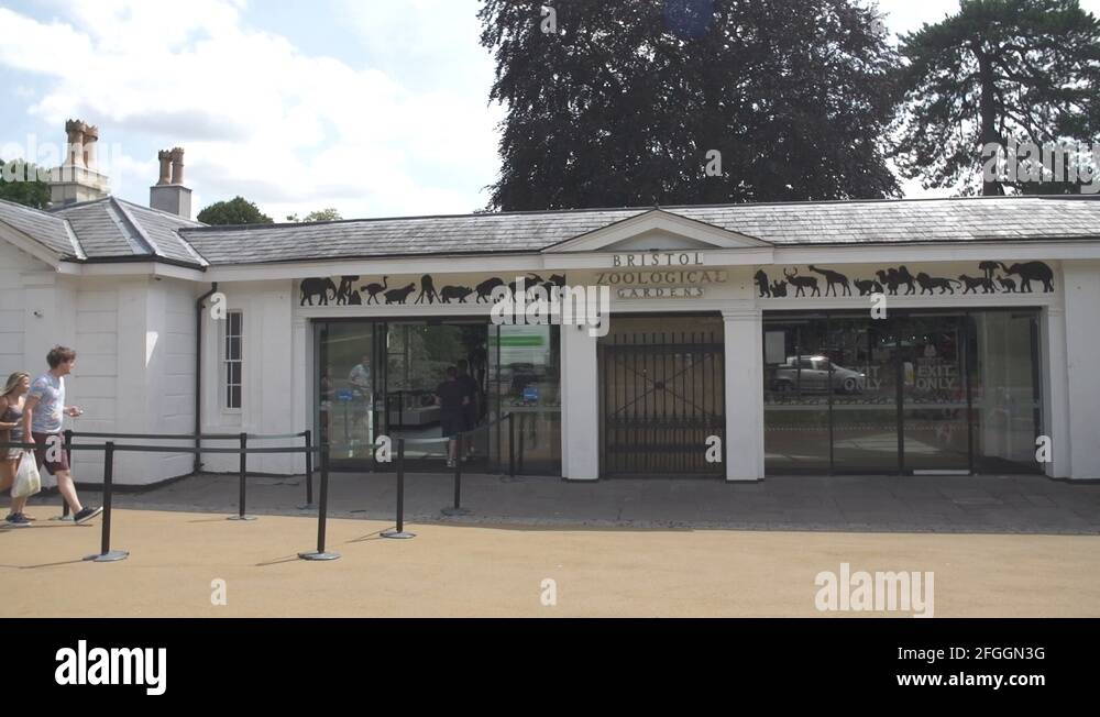 Bristol Zoo News at Christopher Hannan blog