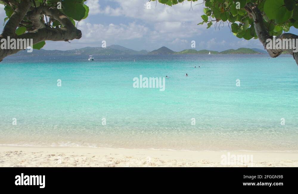 Scott beach Stock Videos & Footage - HD and 4K Video Clips - Alamy