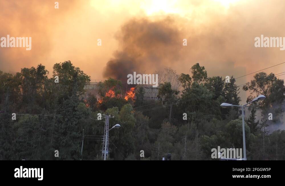Fire near buildings Stock Videos & Footage - HD and 4K Video Clips - Alamy