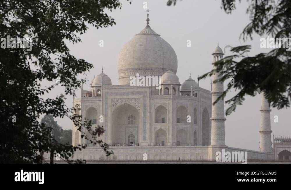Taj mahal trees in Stock Videos & Footage - HD and 4K Video Clips - Alamy
