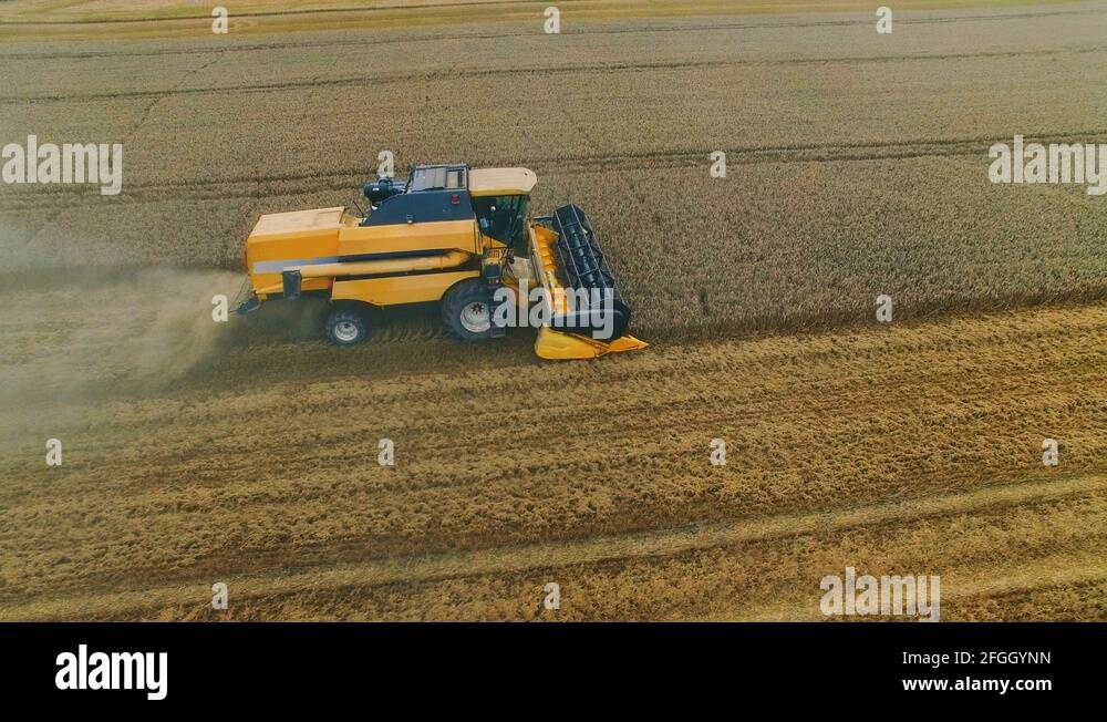 Threshing grain Stock Videos & Footage - HD and 4K Video Clips - Alamy