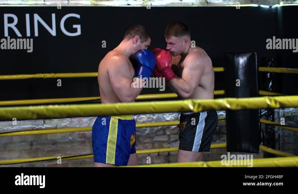 Punch head Stock Videos & Footage - HD and 4K Video Clips - Alamy