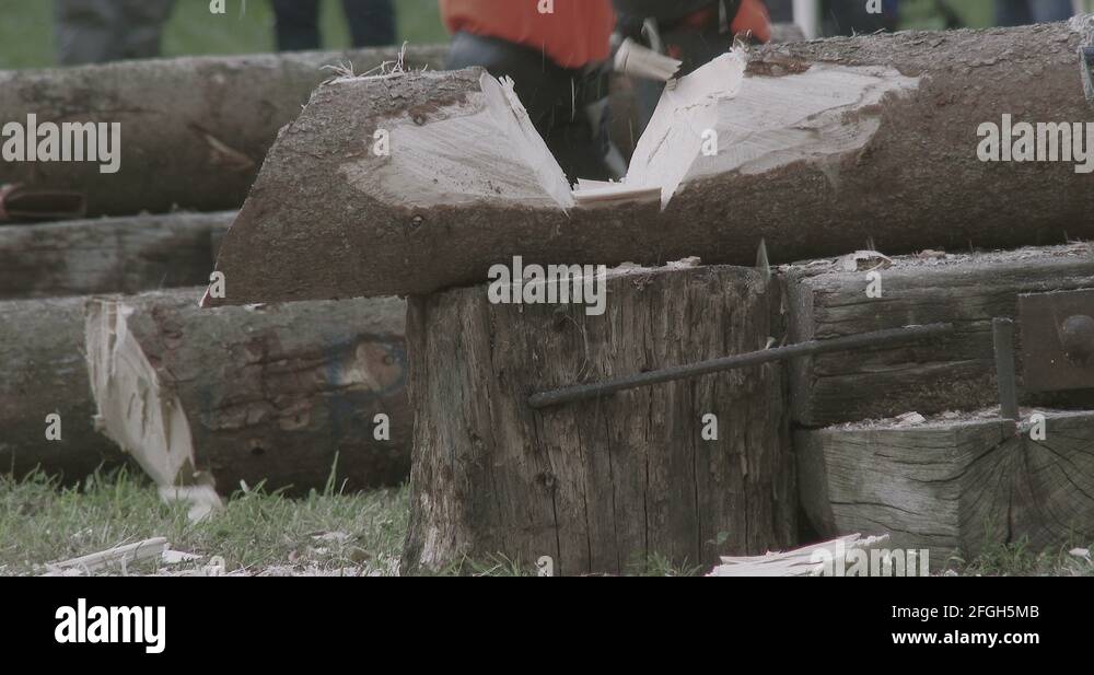 Axeman chopping tree Stock Videos & Footage - HD and 4K Video Clips - Alamy