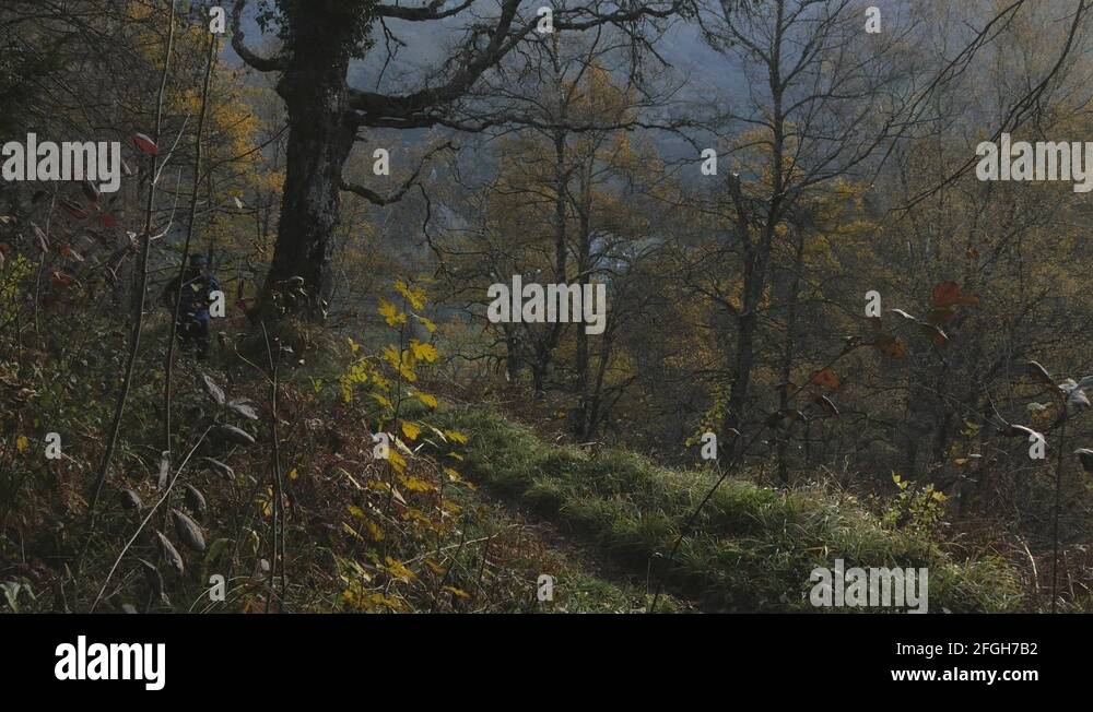 Trail colors Stock Videos & Footage - HD and 4K Video Clips - Alamy