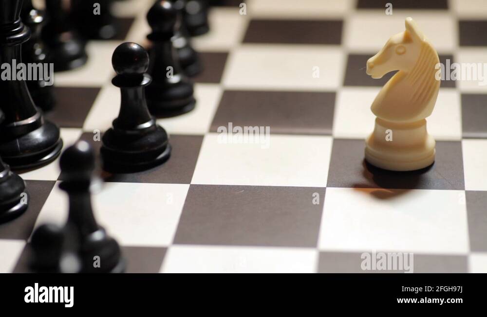 White chess knight Stock Videos & Footage - HD and 4K Video Clips - Alamy