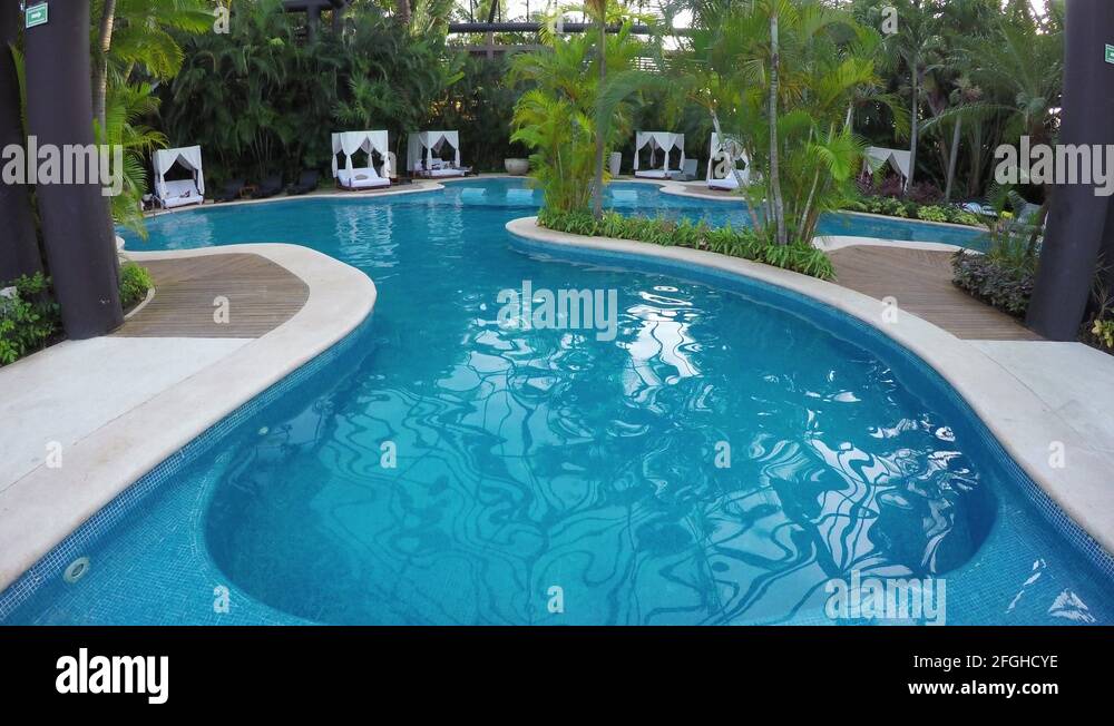 Jungle swimming pool Stock Videos & Footage - HD and 4K Video Clips - Alamy