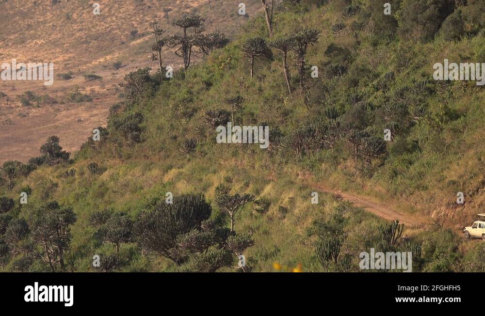 Ngorongoro crater game drive Stock Videos & Footage - HD and 4K Video ...