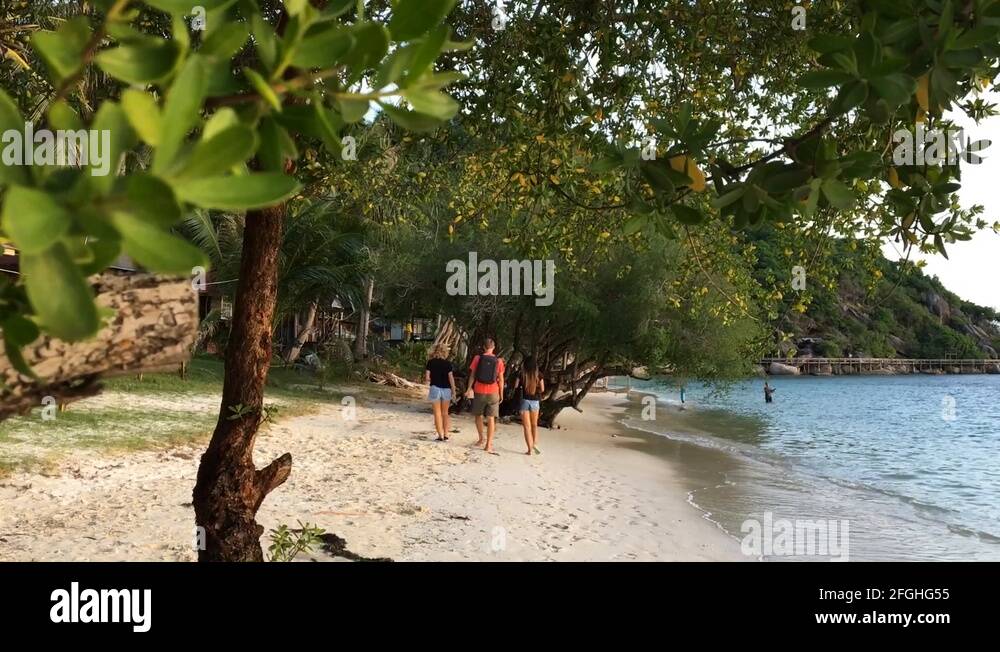 Back view friends beach Stock Videos & Footage - HD and 4K Video Clips ...