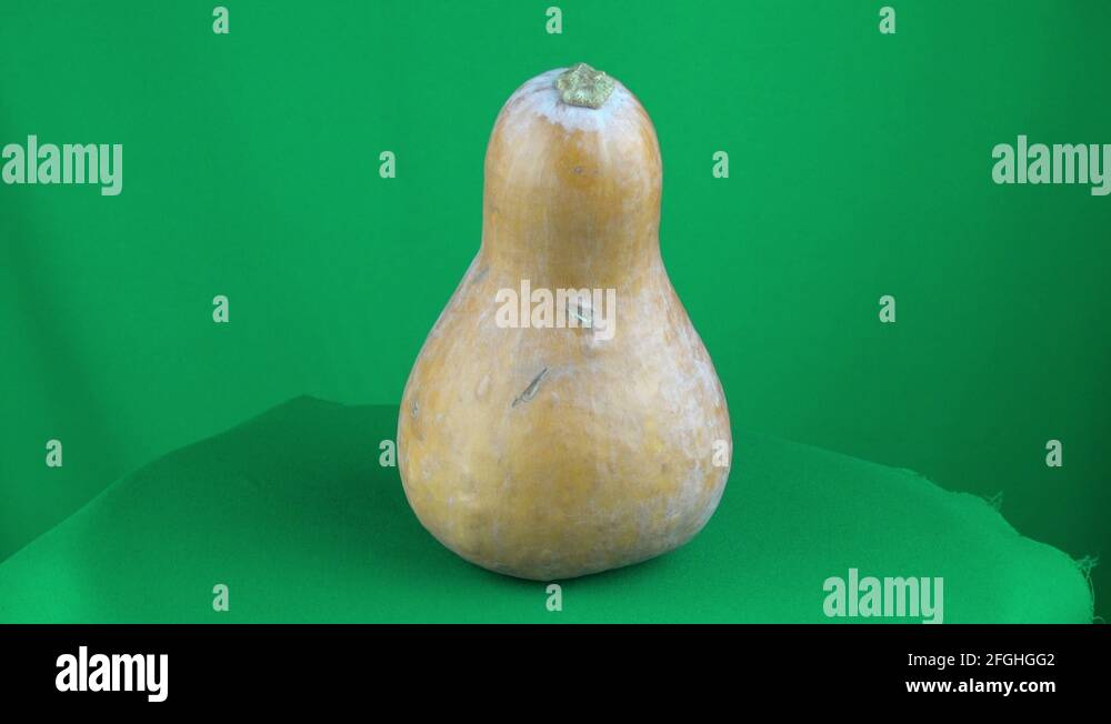 Pumpkin Rotating in Green Screen Chroma Key Matte Stock Video Footage ...
