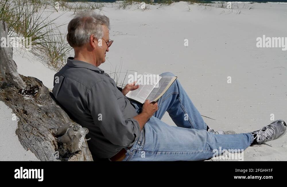 Male reading beach Stock Videos & Footage - HD and 4K Video Clips - Alamy