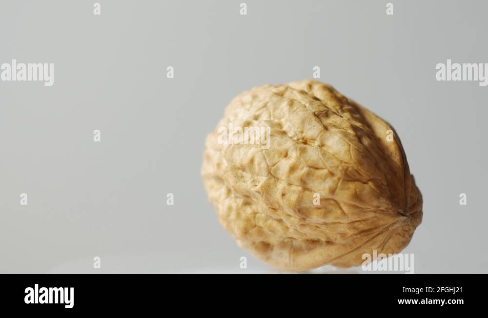 One walnut Stock Videos & Footage - HD and 4K Video Clips - Alamy