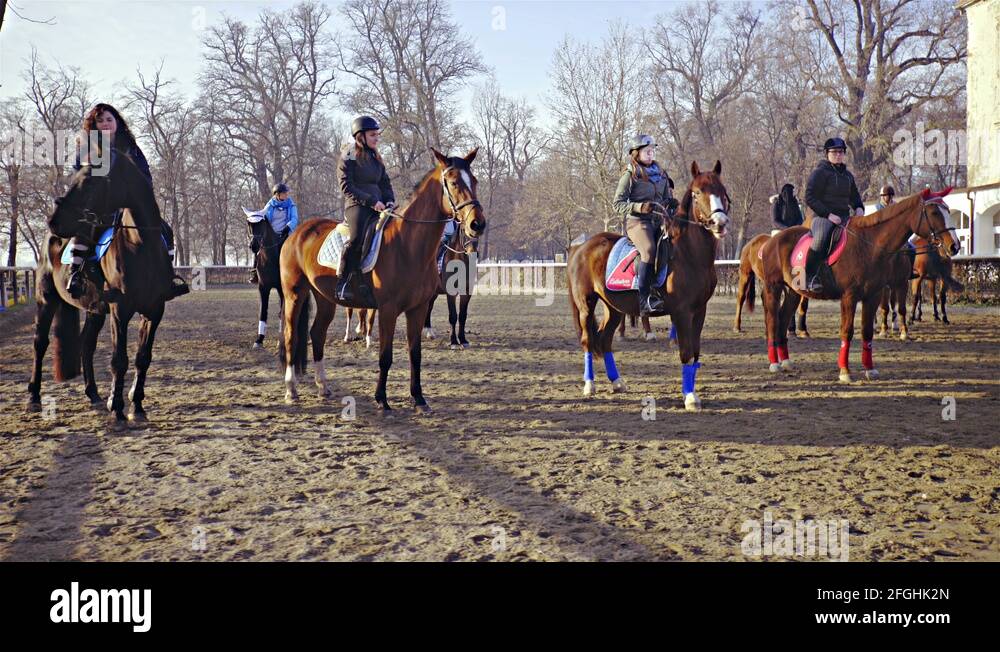 Lined group of professional horse riders 4K Stock Video Footage - Alamy