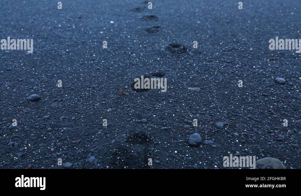 Footprints in stones Stock Videos & Footage - HD and 4K Video Clips - Alamy