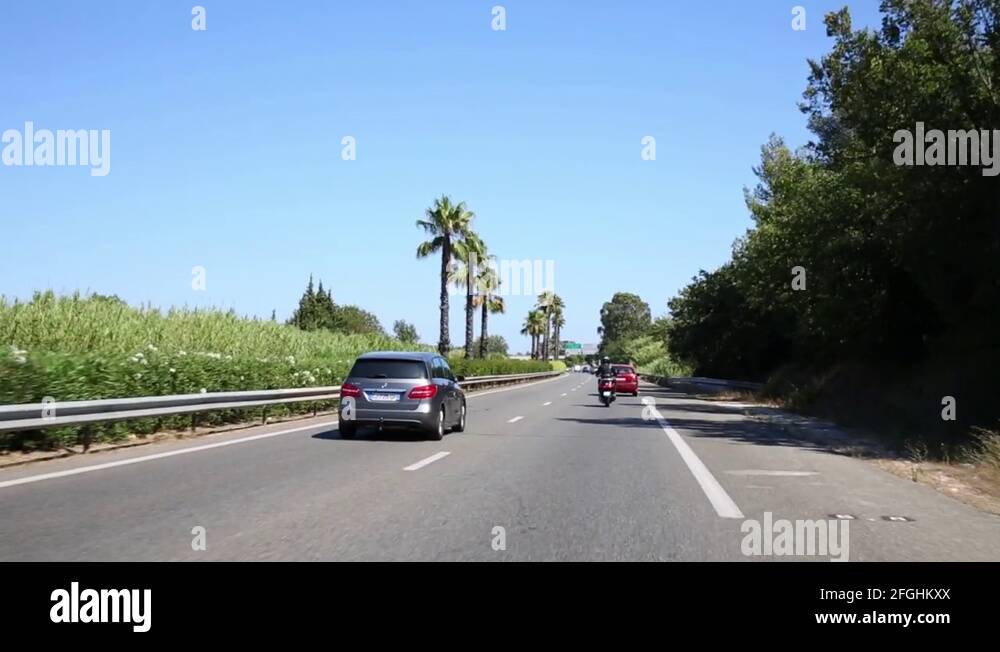 Trees on the two sides of the road Stock Videos & Footage - HD and 4K ...