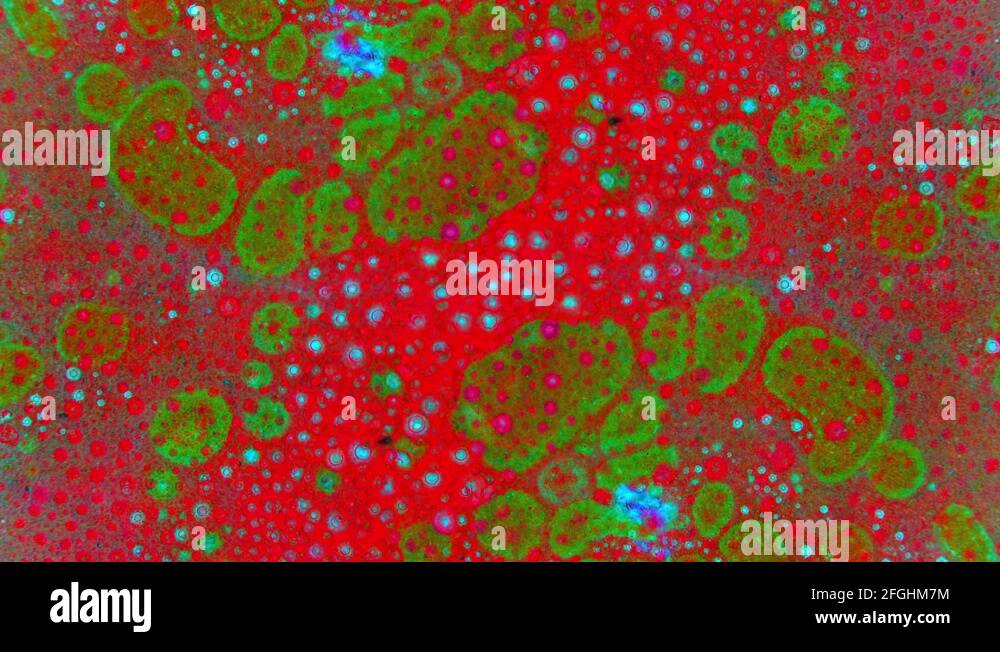 Microscopic View of Ink in Water Stock Video Footage - Alamy