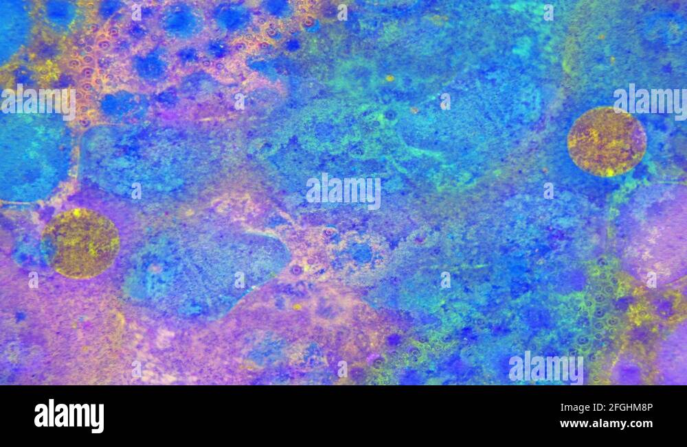 Microscopic View of Ink in Water Stock Video Footage - Alamy