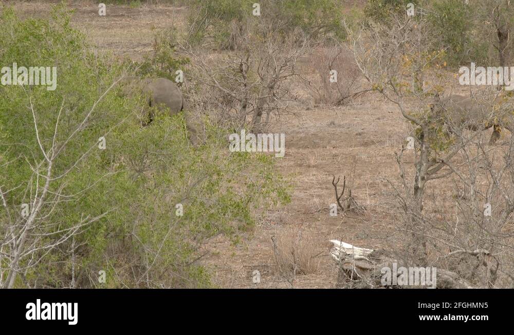 Mother lock Stock Videos & Footage - HD and 4K Video Clips - Alamy
