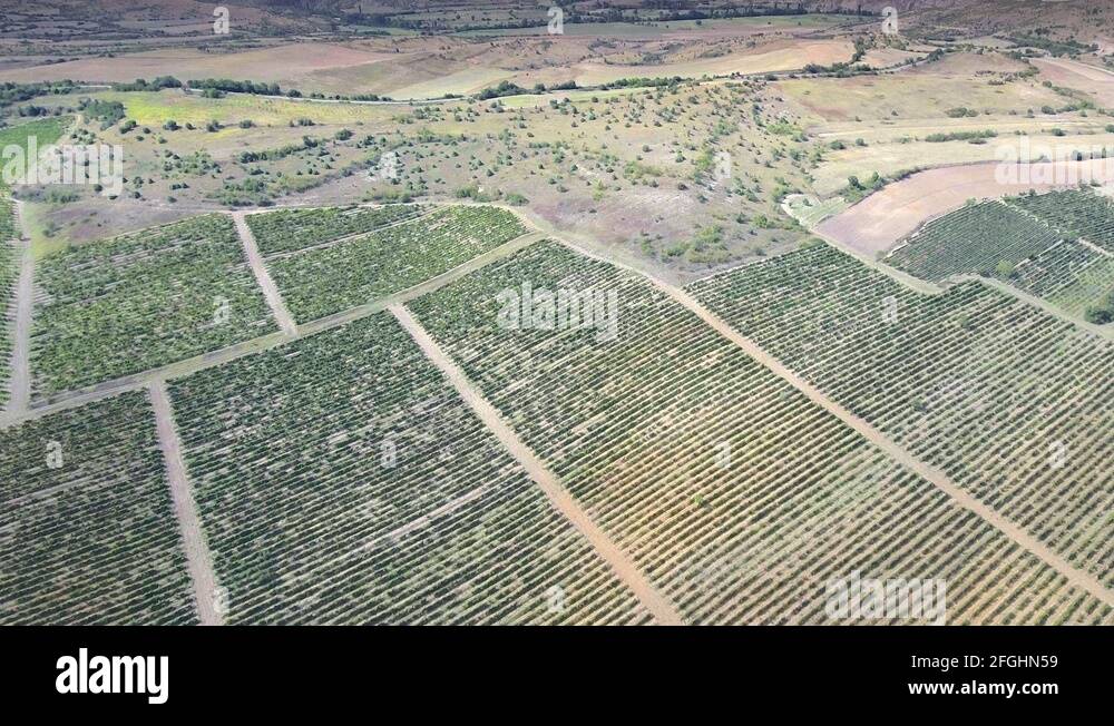 Terrain pattern Stock Videos & Footage - HD and 4K Video Clips - Alamy