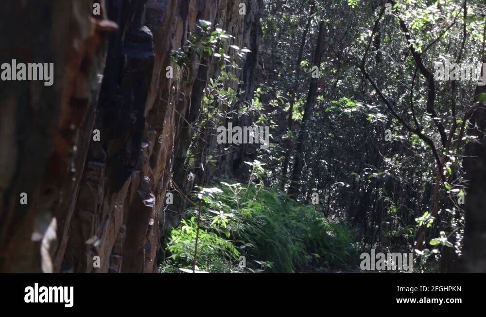 Butterfly gorge nature park Stock Videos & Footage - HD and 4K Video ...