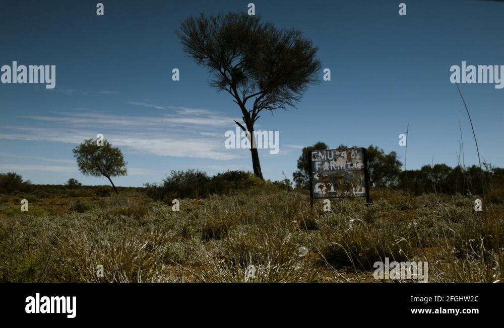 Australian animal sign Stock Videos & Footage - HD and 4K Video Clips ...