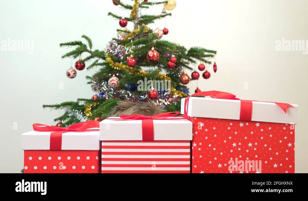 Arrange box boxes Stock Videos & Footage - HD and 4K Video Clips - Alamy