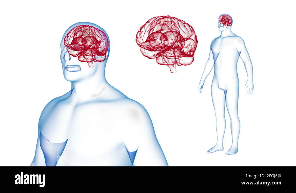 Body and brain Stock Videos & Footage - HD and 4K Video Clips - Alamy