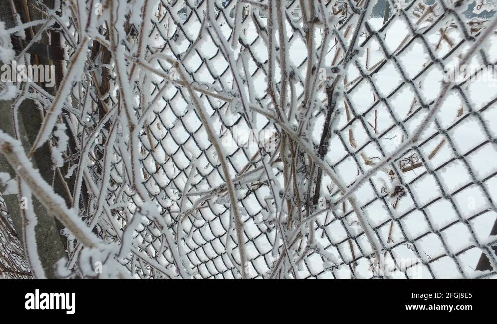 Frozen wire Stock Videos & Footage - HD and 4K Video Clips - Alamy