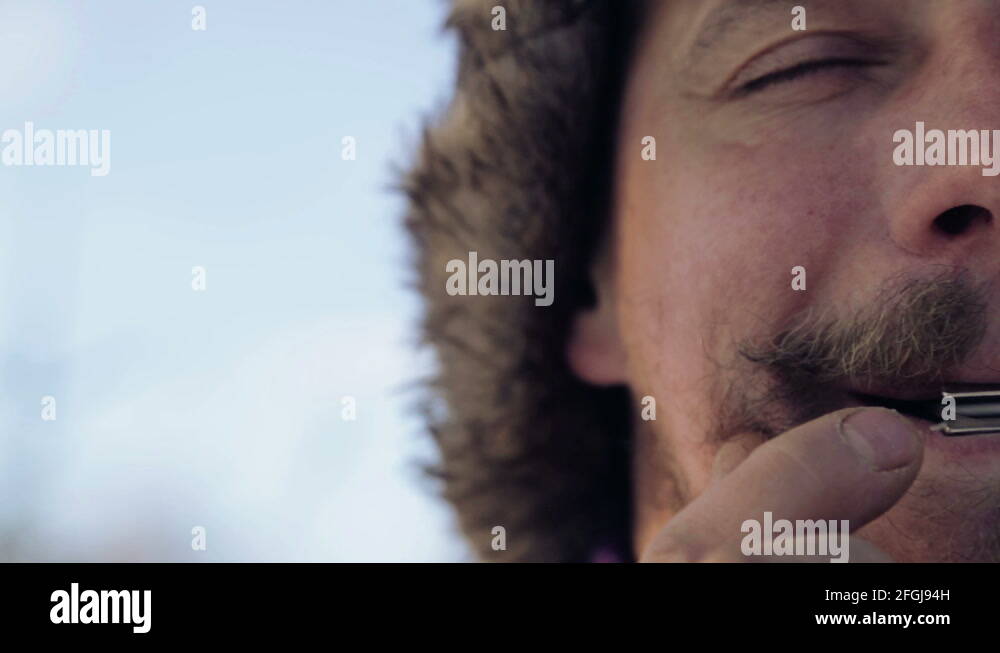 Harp face Stock Videos & Footage - HD and 4K Video Clips - Alamy