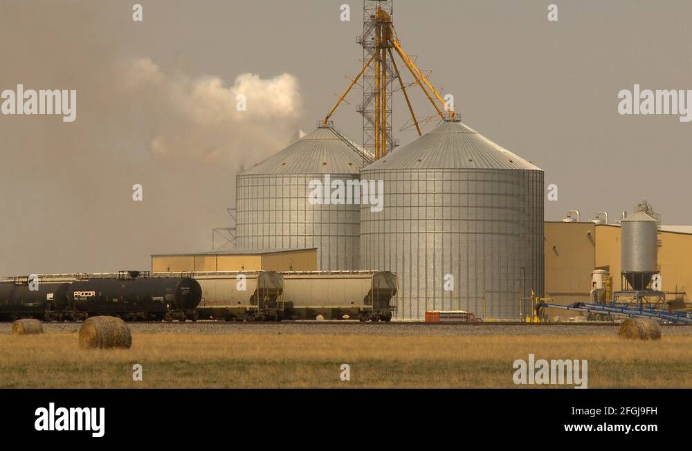 Fertilizer plant Stock Videos & Footage - HD and 4K Video Clips - Alamy