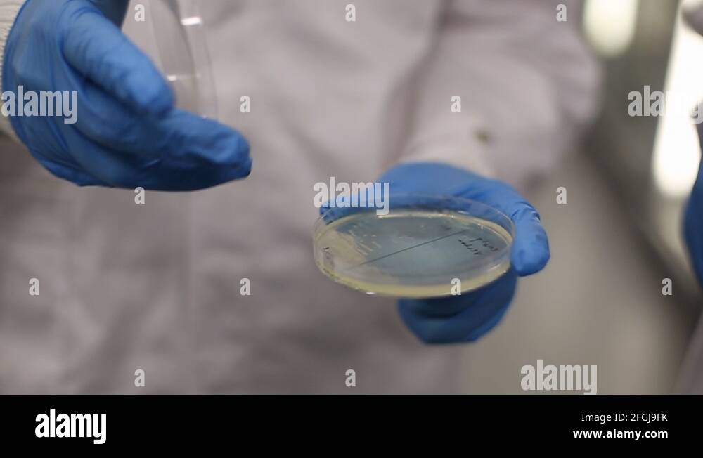 Science laboratory Stock Videos & Footage - HD and 4K Video Clips - Alamy